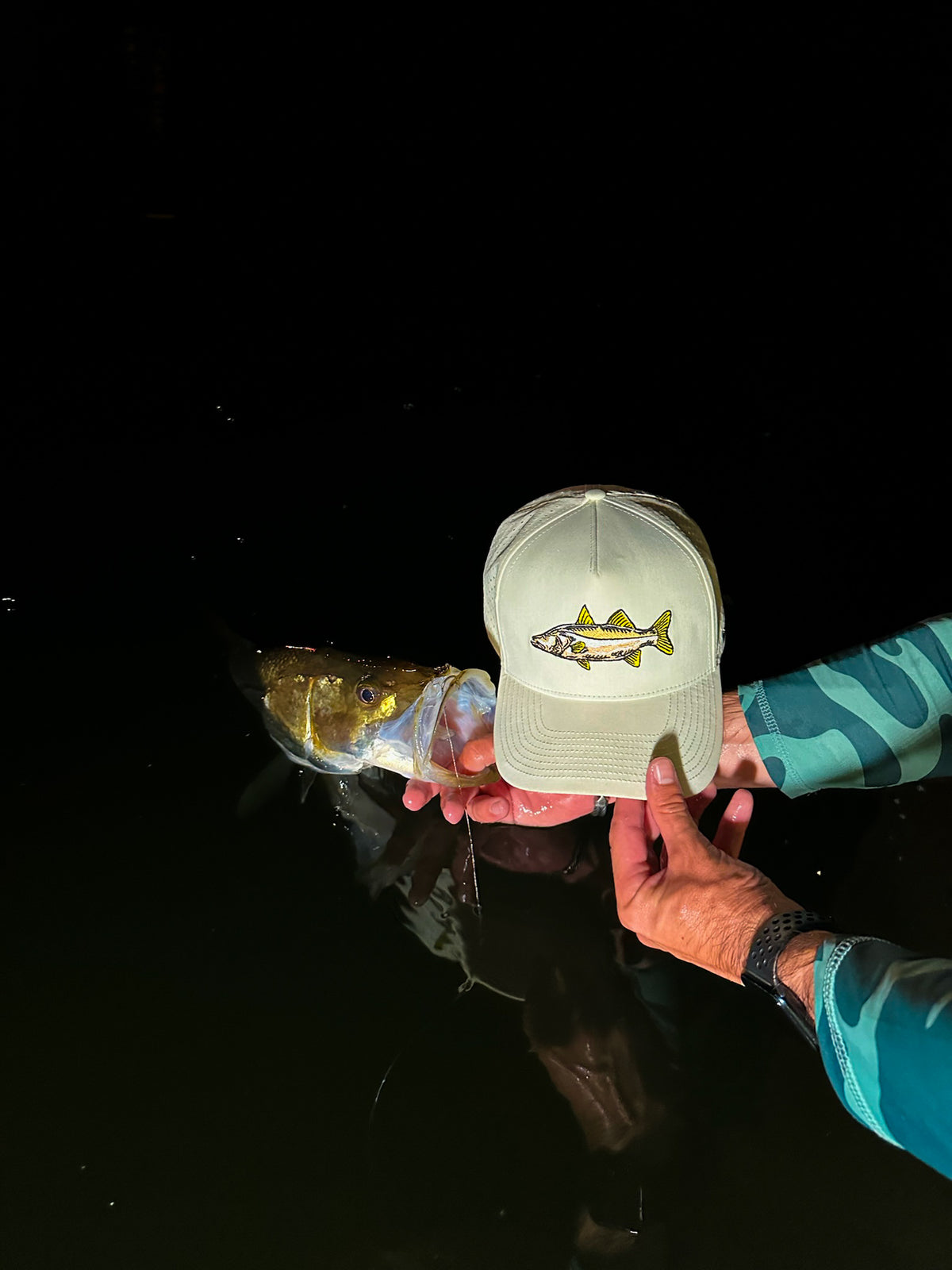 FishGuy.Shop – The Fish Guy Shop