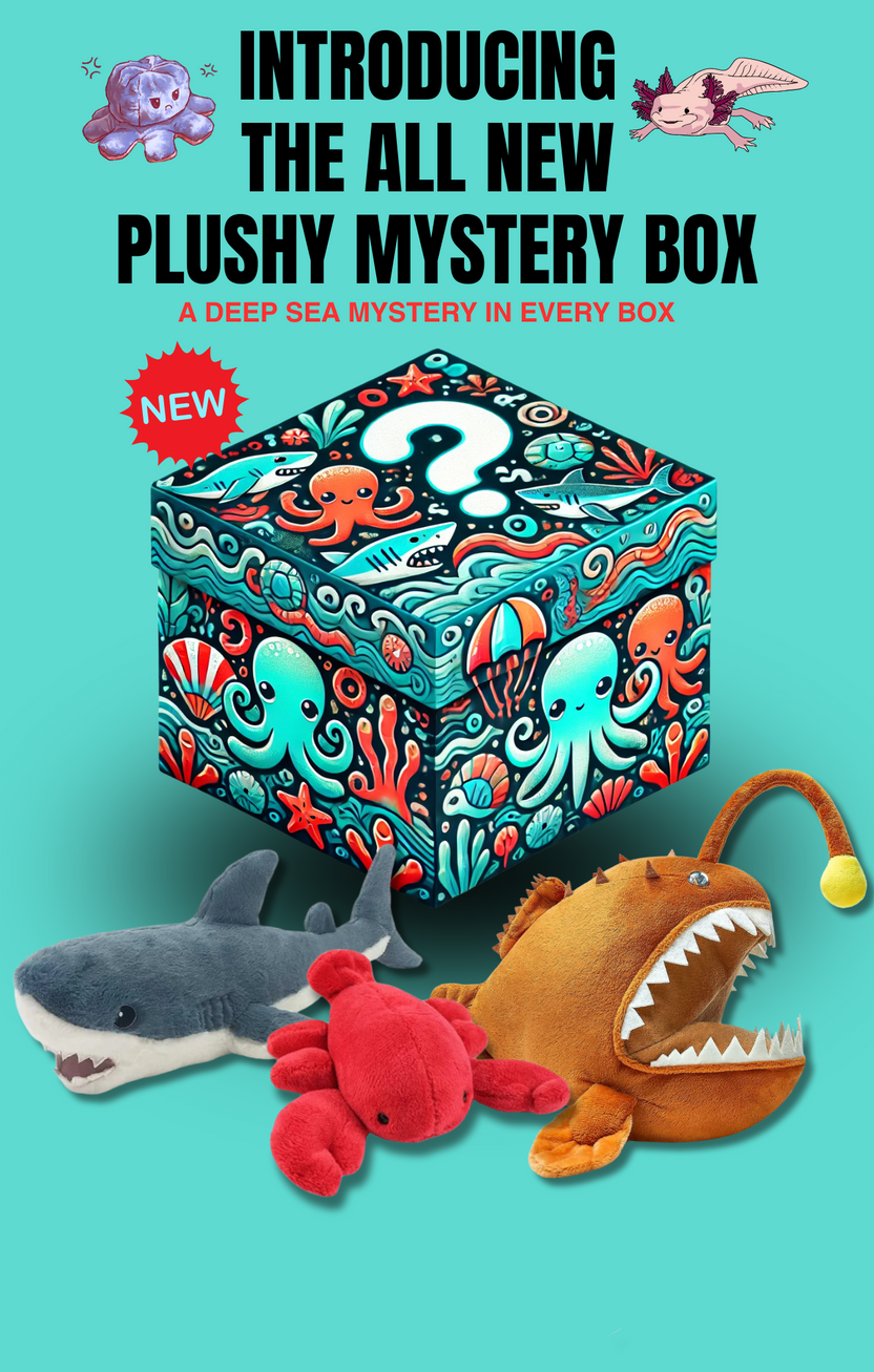 FishGuy.Shop – The Fish Guy Shop