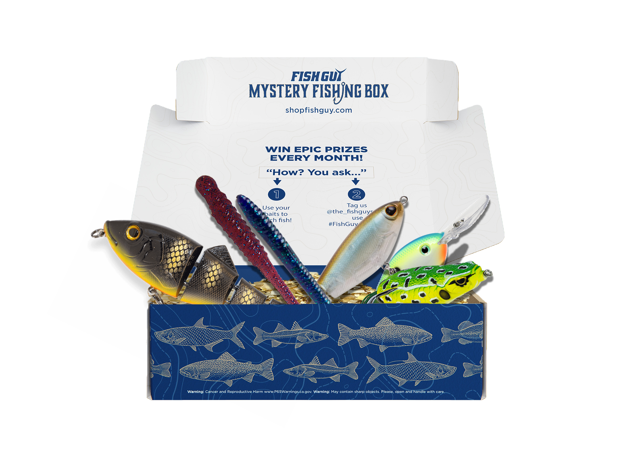 FishGuy.Shop – The Fish Guy Shop