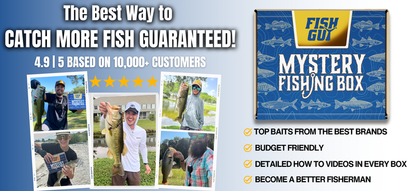 FishGuy.Shop – The Fish Guy Shop