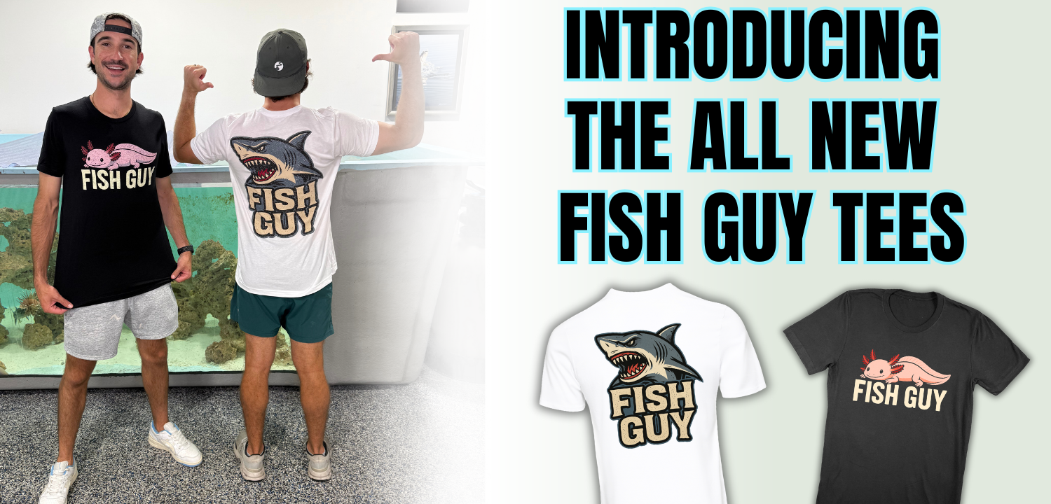FishGuy.Shop – The Fish Guy Shop